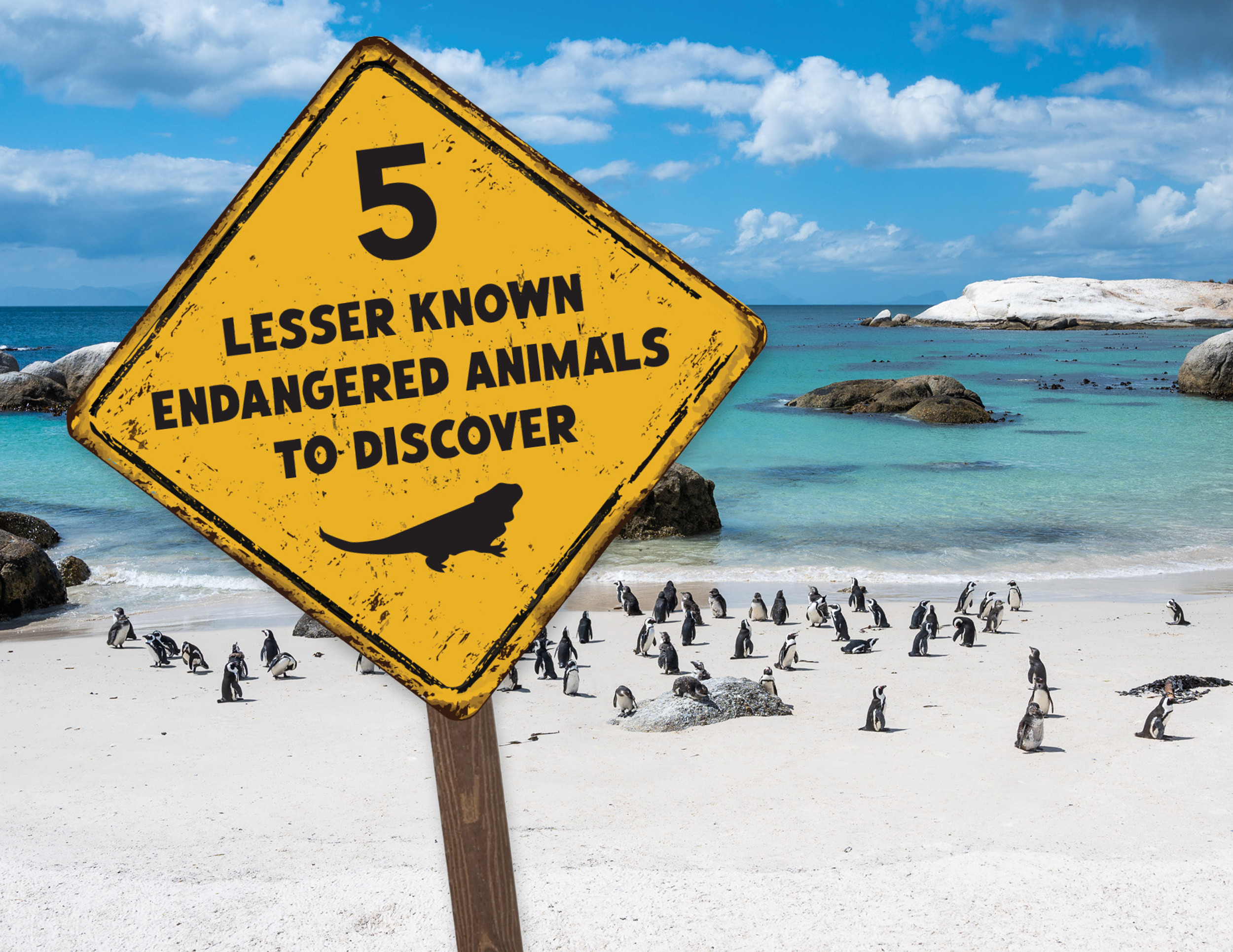 5 Lesser-Known Endangered Animals to Discover