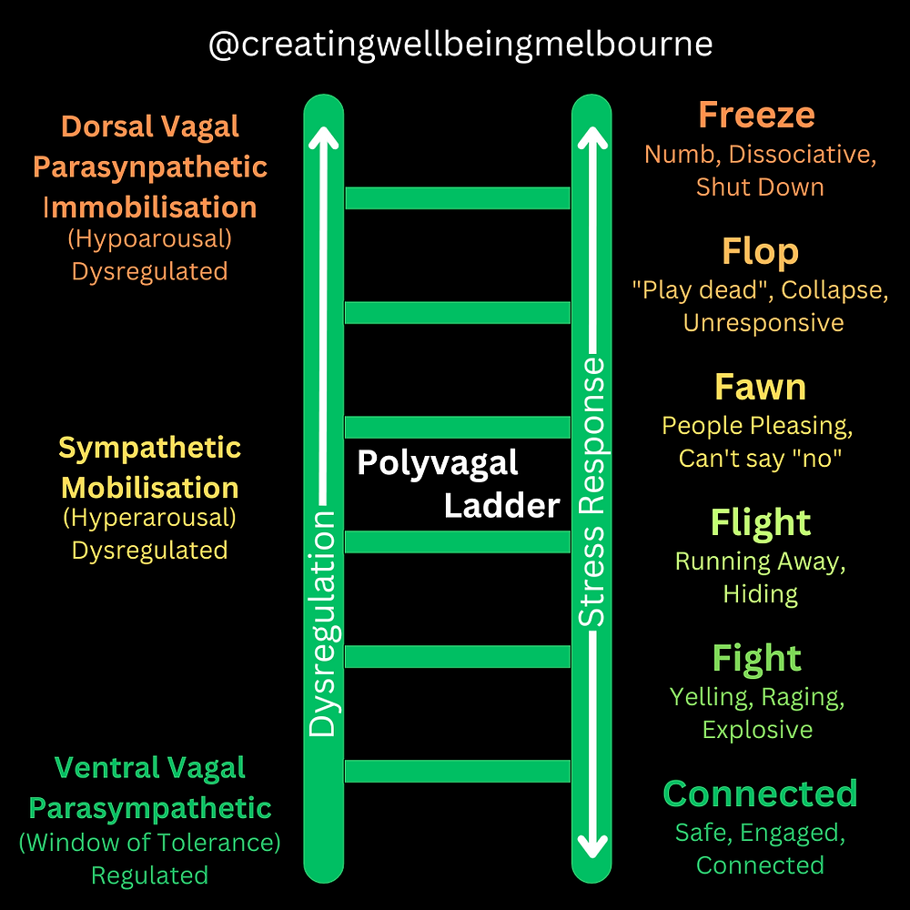 Polyvagal Ladder