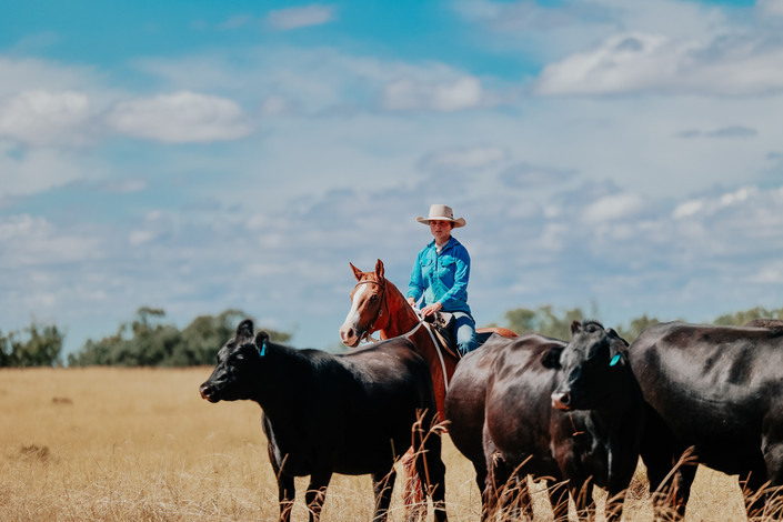 2023 Lot Videos | Clunie Range Angus Stud