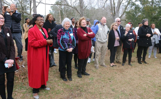 GALLERY | Harrietbarberhouse