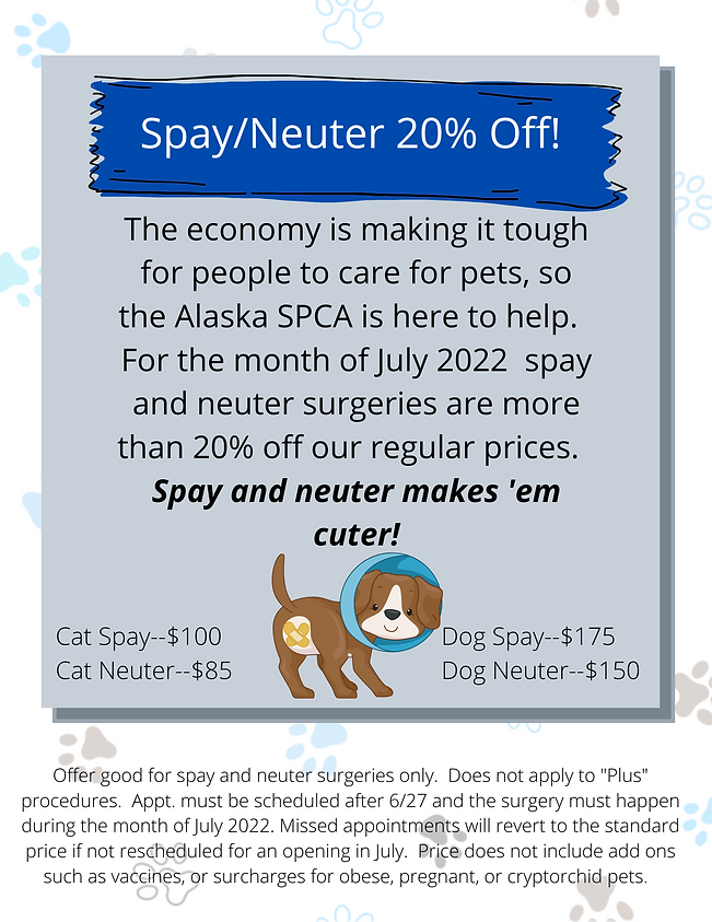 Cats And Dogs | Alaska SPCA | United States