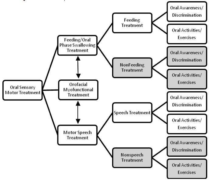 The Oral Motor Institute