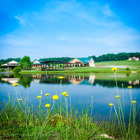 HOME | Morgan Ridge Winery