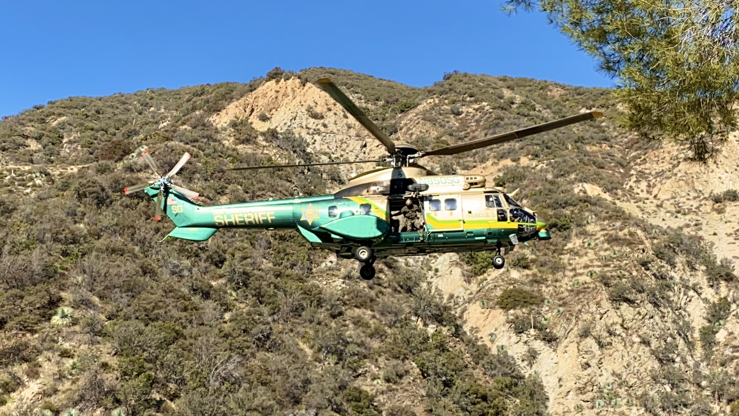 California Search K9 LLC - K9 Training Academy - Cadaver and Tracking