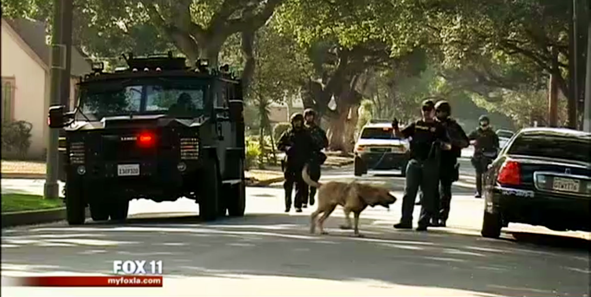 California Search K9 LLC - K9 Training Academy - Cadaver and Tracking