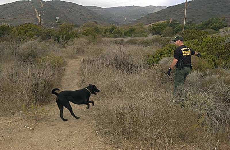 California Search K9 LLC - K9 Training Academy - Cadaver and Tracking