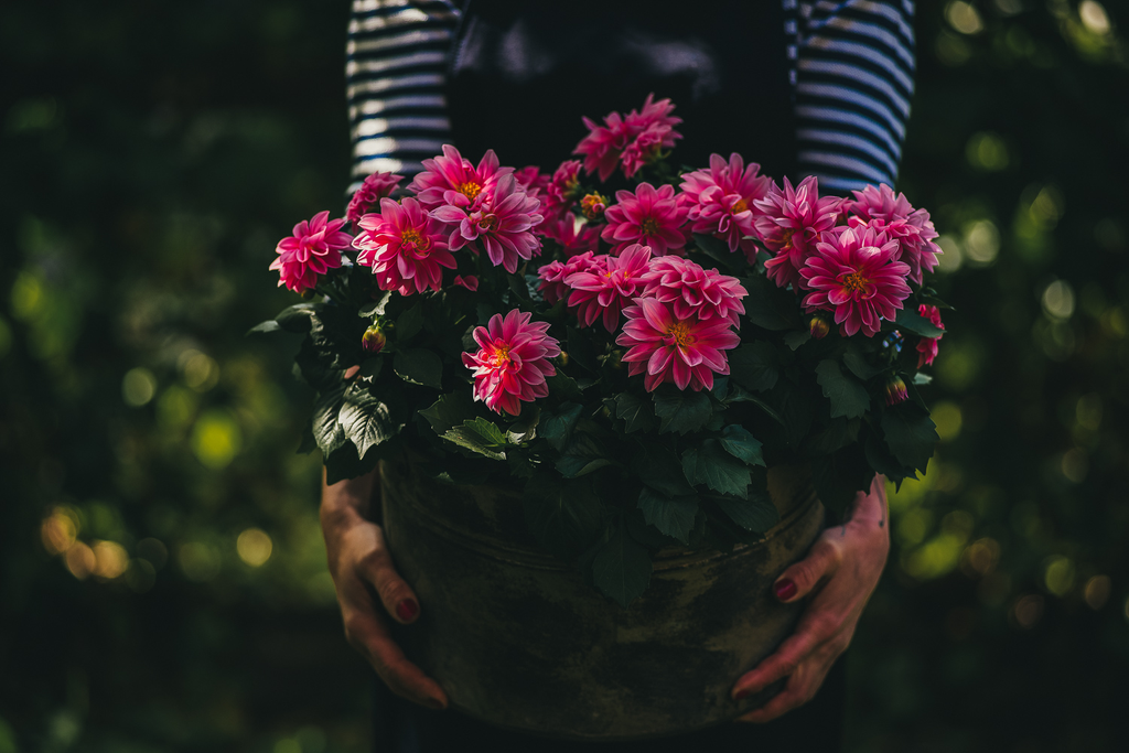 Fioraio Bologna | Bologna | FLEURd'Âme Bouquetrie