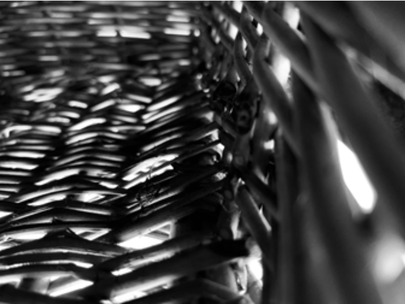 Lillian Dolan - What is Line - 3