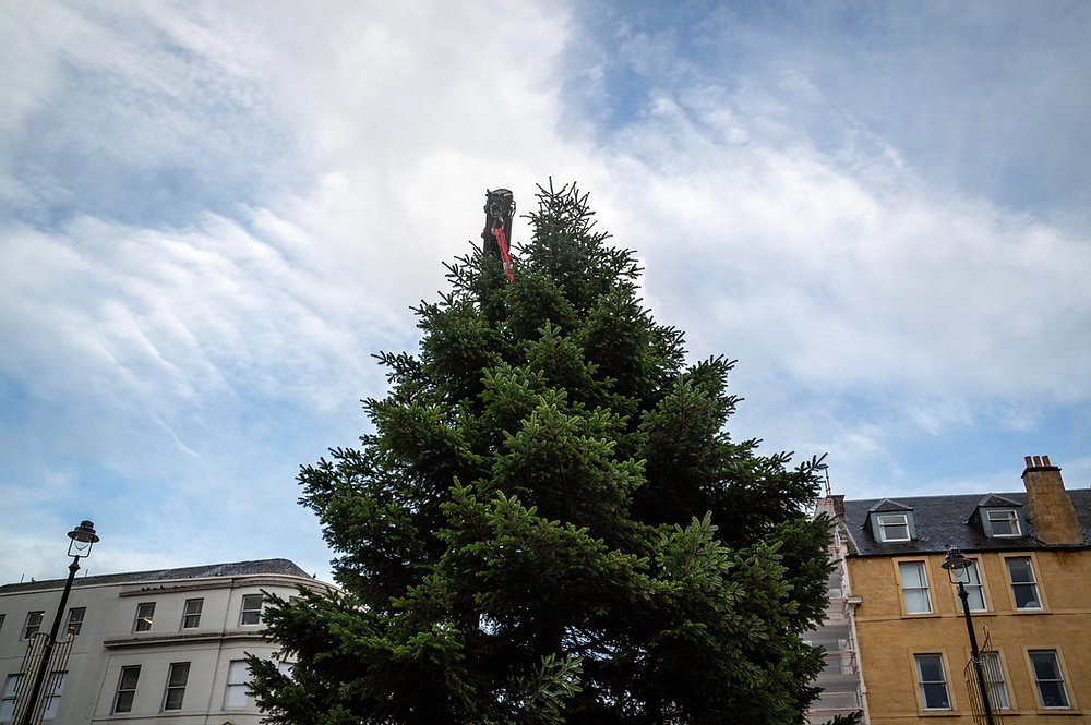 ANDREW BATCHELOR: Dundee appears to have got its festive mojo back with ...