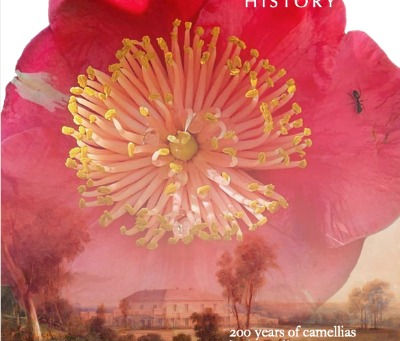 Home | MiramarPrisonGarden