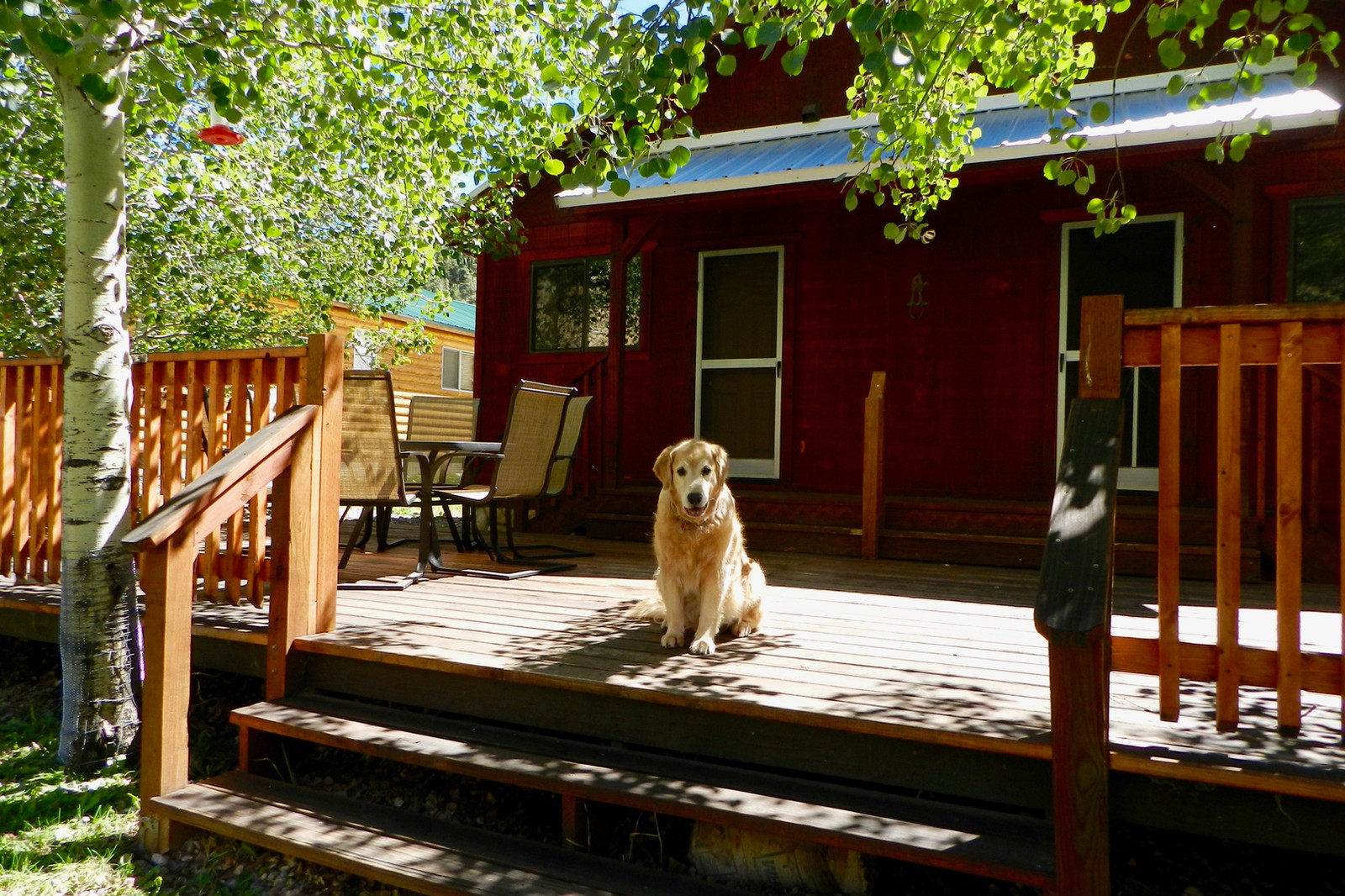 RIVERSIDE CABIN | Home | Red River Vacation Rentals