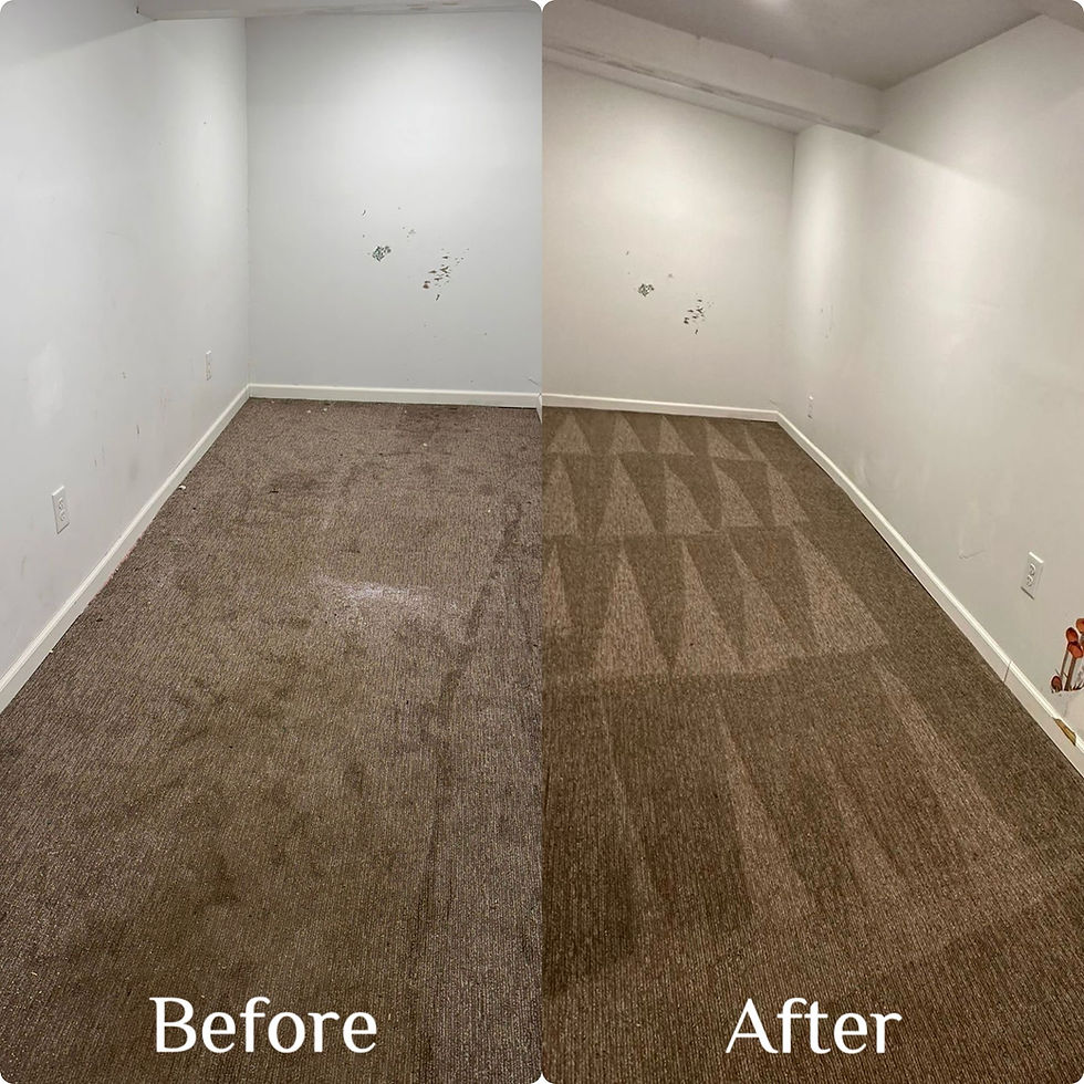 Professional House Cleaning Services | Seattle, Orange County, Tampa ...