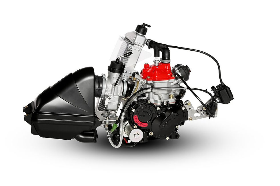 Rotax 125 SENIOR MAX EVO Engine Kit | The Kart Shop