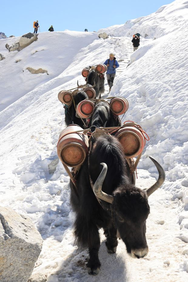 Everest Base Camp The Hard Way