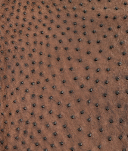 Ostrich Leather Hide in Kango Tabac color with Bruciato Finish