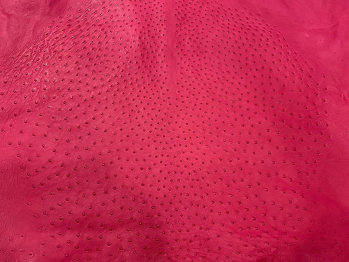Ostrich Leather skin Bright Pink Color Sf | exoticleathersbyray