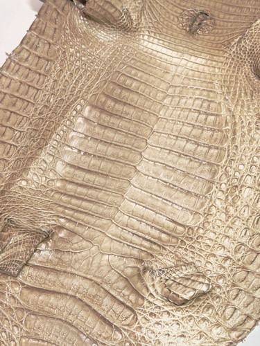 Caiman Skin Leather Arena Color (100% Genuine skin) | exoticleathersbyray