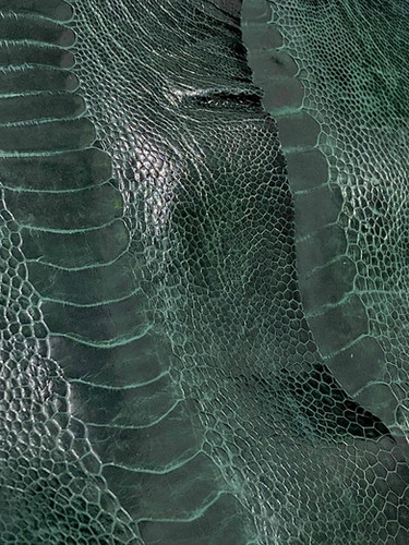 Ostrich Legs Skin Leather, Cyprus (Glazed) Grade B | exotic leathers by ray