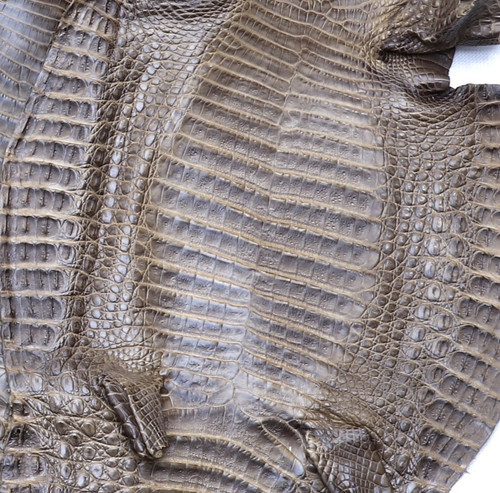 Caiman Skin Leather Zebra Mink Color (100% Genuine skin ...