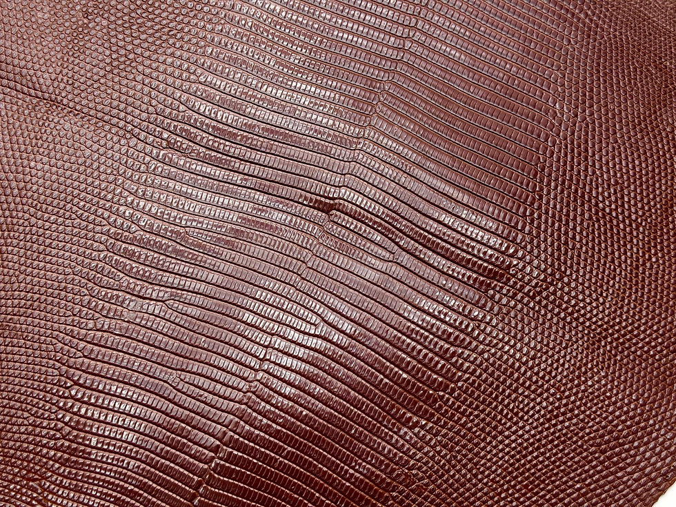 Lizard Skin Leather | exoticleathersbyray