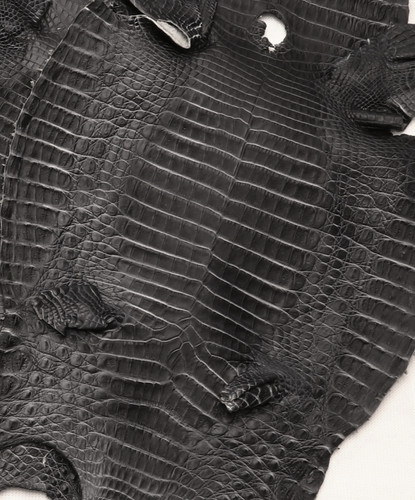 Caiman Skin Leather Charcoal Grey on Light Grey two-ton Color | exotic ...