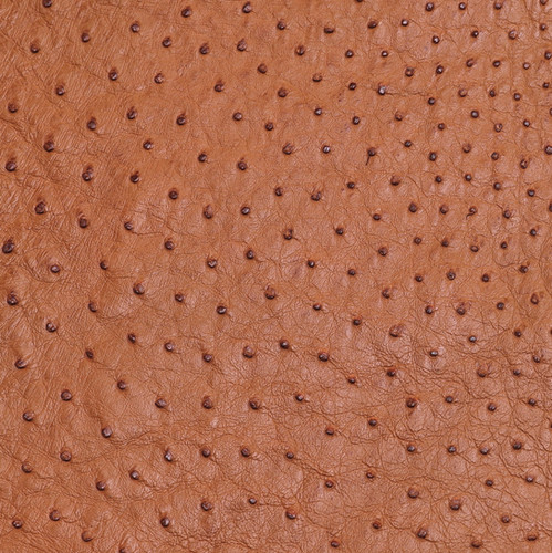 Ostrich Leather skin Cognac Color