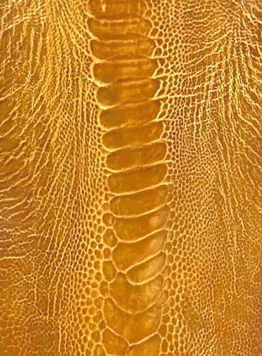 Ostrich Legs Skin Leather, Mustard Color Glazed Grade B ...