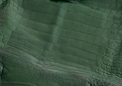 Crocodile Leather Forest Green matte finish | exoticleathersbyray