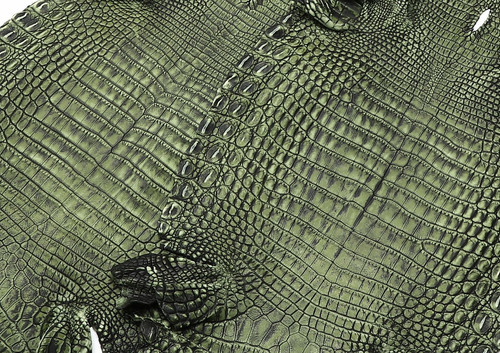Crocodile Leather Army Green Color SW Finish | exoticleathersbyray