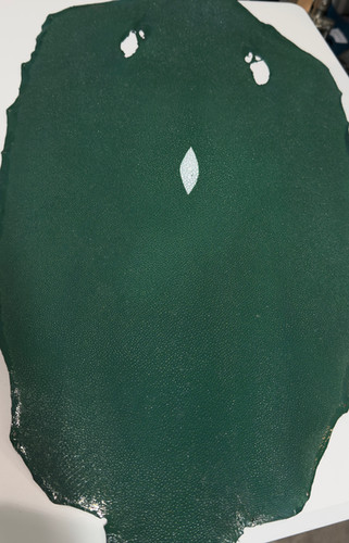 Stingray Skin Brilliant Green Color | exotic leathers by ray