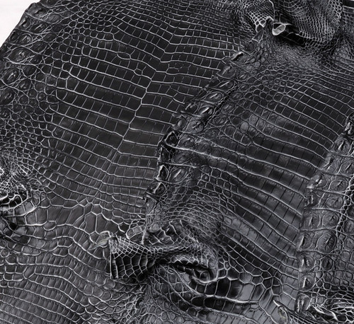 Crocodile Leather Black on White Color (100% Genuine skin ...