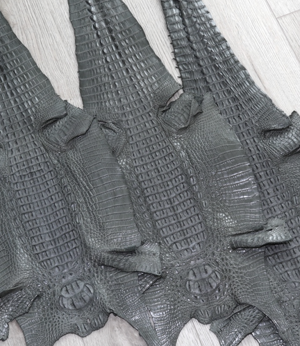 Crocodile Horn Back Leather Serpentine Color (100% Genuine skin ...