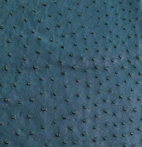 Piel de Avestruz, Color Azul Marino CF | exoticleathersbyray