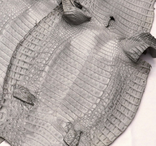 Caiman Skin Leather Light Gray Color (100% Genuine skin ...