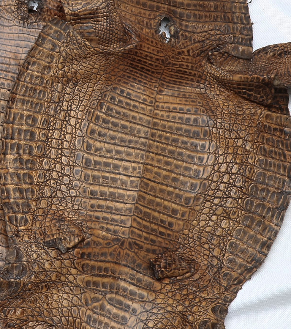 Caiman Skin Leather Antique Pecan Color (100% Genuine skin ...