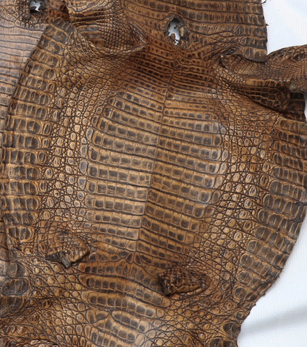Caiman Skin Leather Antique Pecan Color (100% Genuine skin) | exotic ...