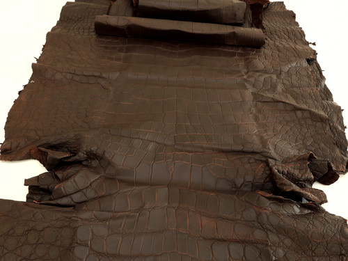 Crocodile Leather Dark Brown (100% Genuine skin) | exoticleathersbyray