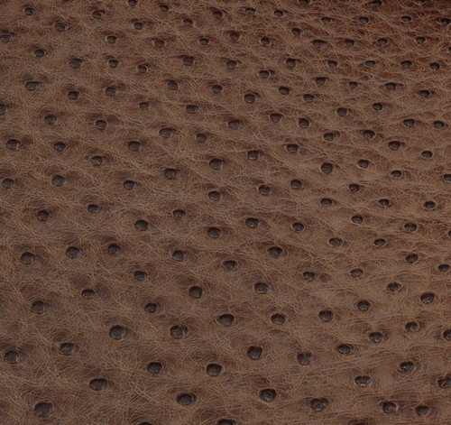 Ostrich Leather skin Rum Brown MD Color | exotic leathers by ray