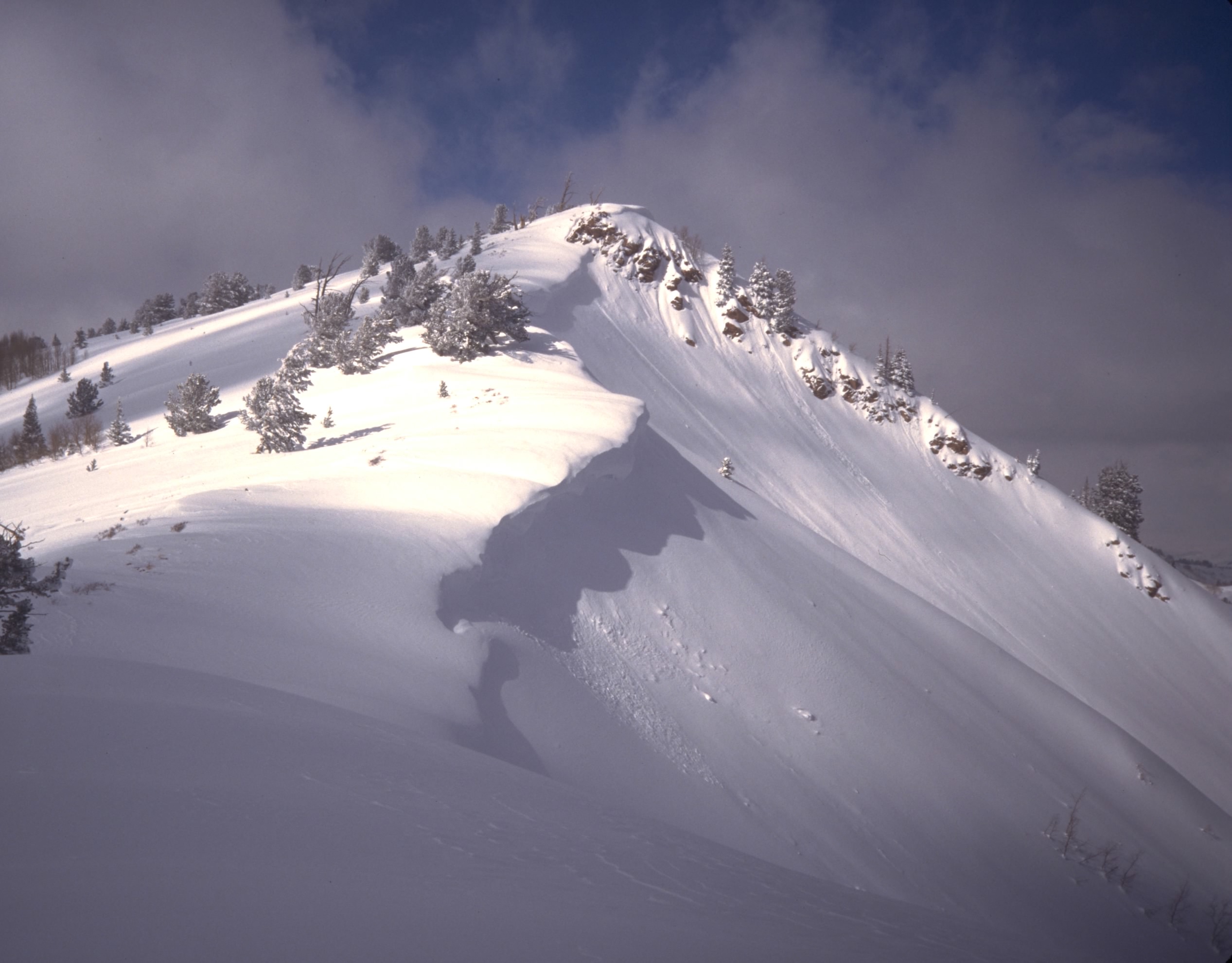 Avalanche Field Book | SnowPit Technologies