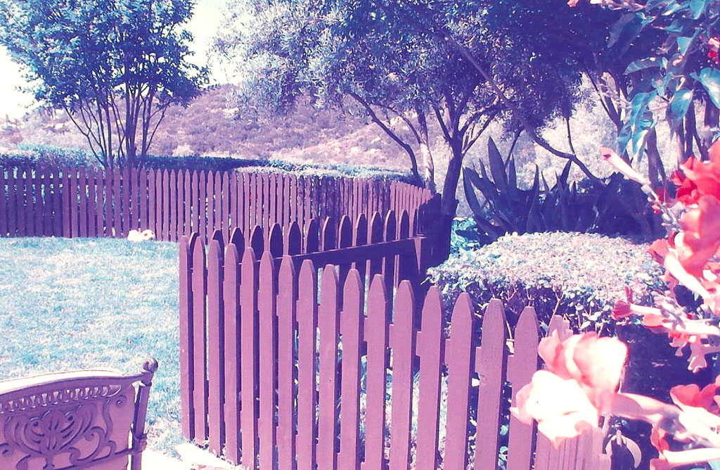 Scripps Poway Fence Builders | Wood Fence Installations