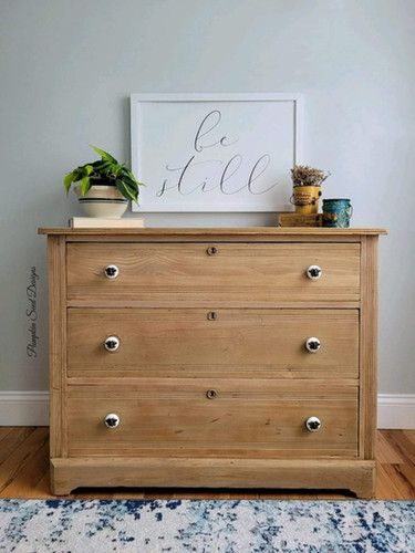 What's The Buzz? | Pumpkin Seed Designs