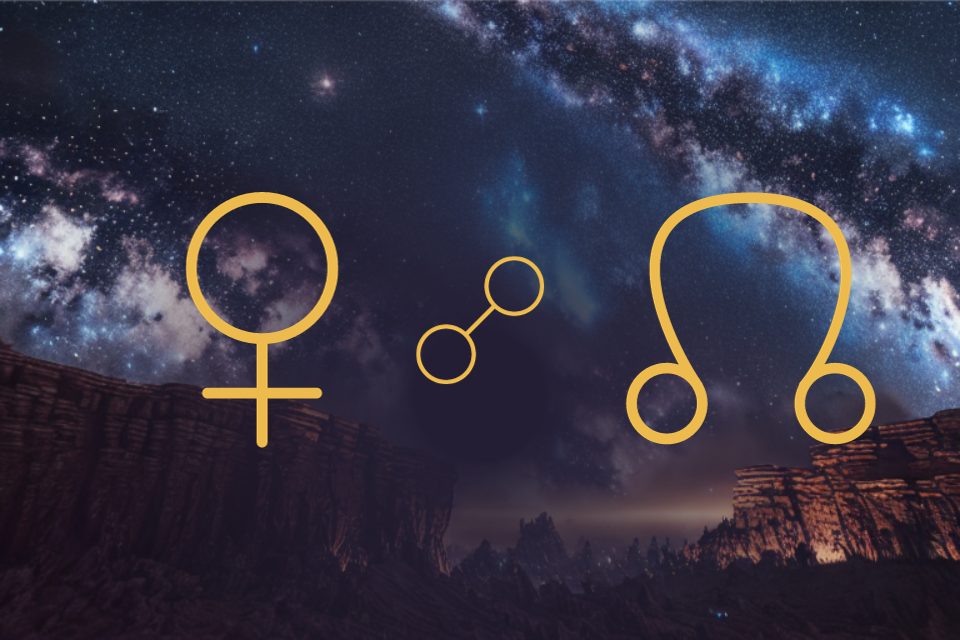 Venus Opposition North Node Synastry Meaning