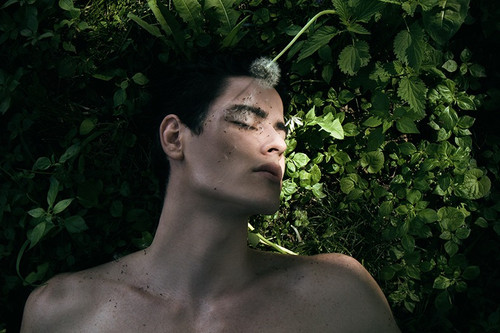 Raphael - Stefanie Renoma