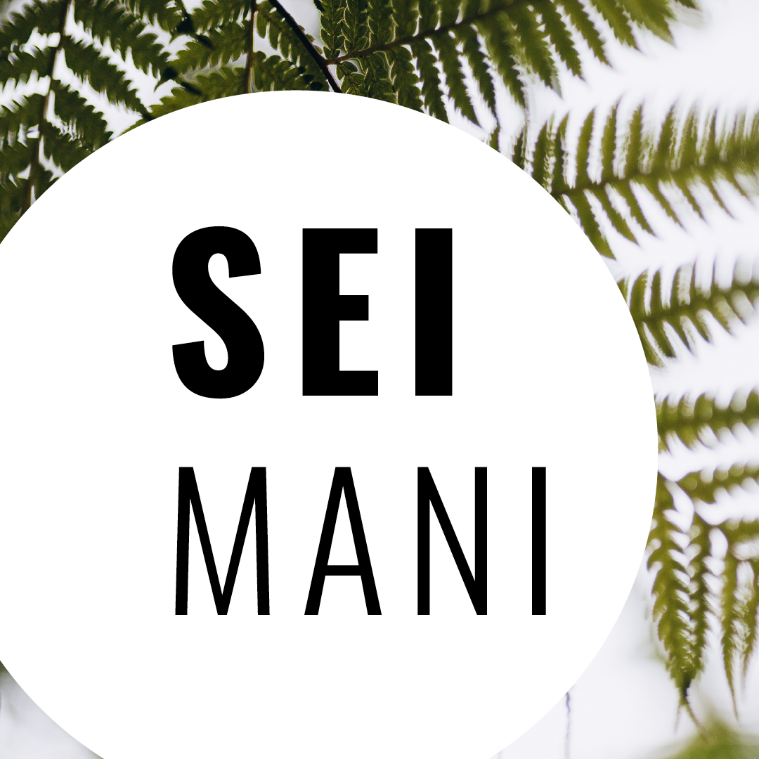 TEAM ::: SEIMANI REGENSBURG