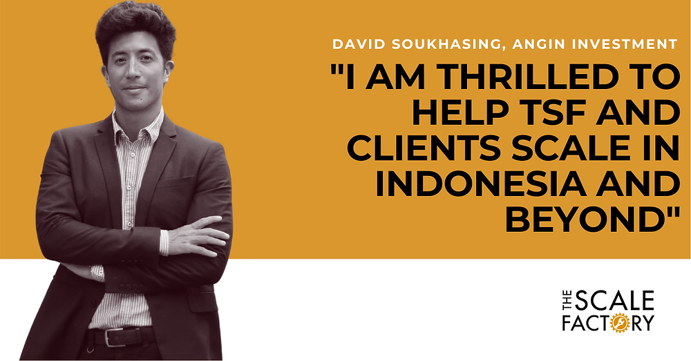 David Soukhasing joins The Scale Factory advisory board