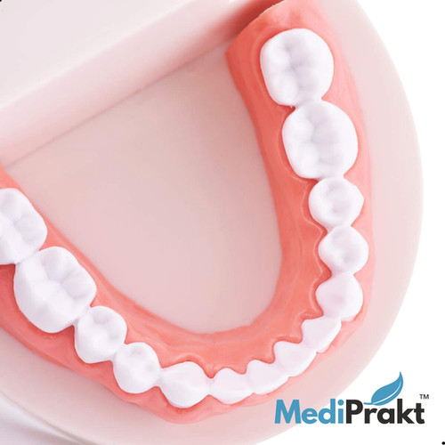 Dental Denture| MediPrakt