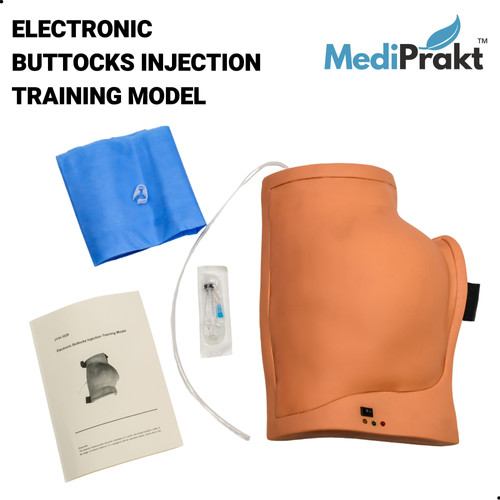 ELECTRONIC BUTTOCKS INJECTION TRAINING MODEL | LIFE SIZE | Anatomical ...