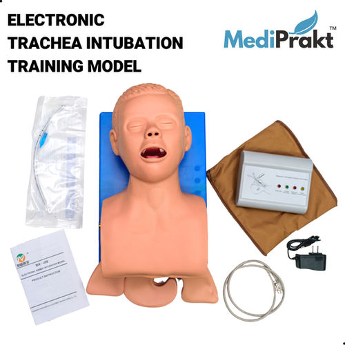 ELECTRONIC TRACHEA INTUBATION MODEL | AIRWAY INTUBATION TRAINING ...