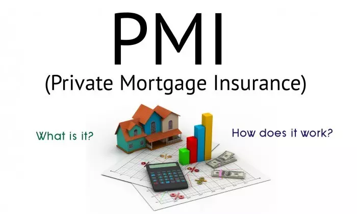 What is PMI?