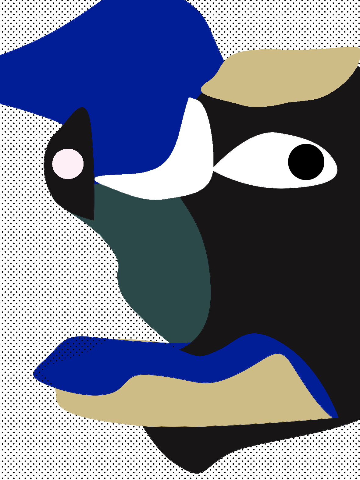 Z Studio | Design Graphique